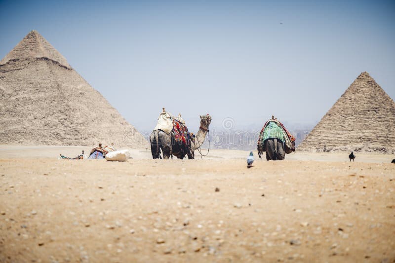Pyramids No Background Stock Photos - Free & Royalty-Free Stock Photos ...