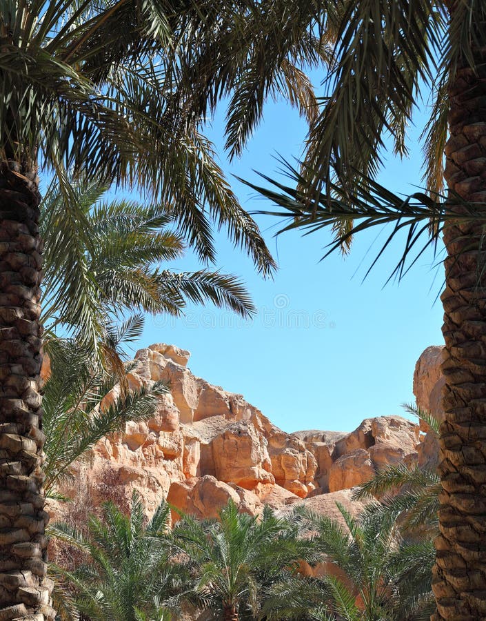 Arabian landscape stock photo. Image of gulf, saudi - 143490892