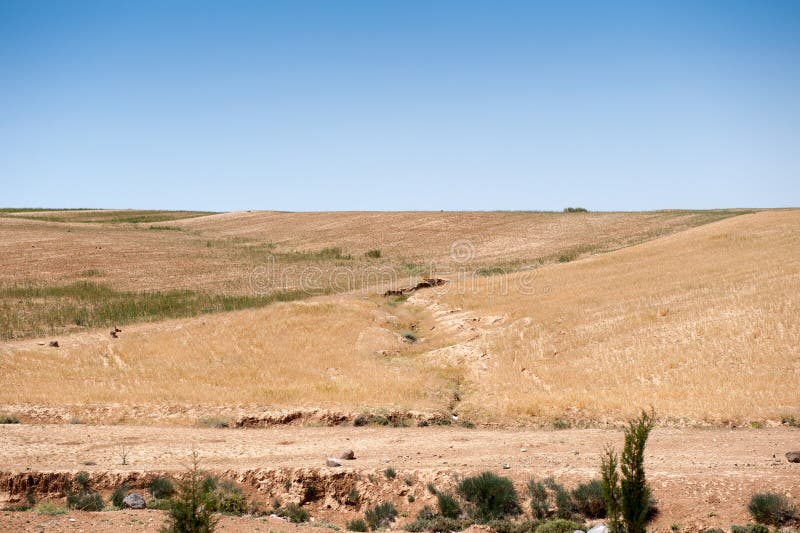 Arabian Nature stock photo. Image of beautiful, discover - 56678550