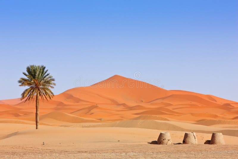 Arabian Sand Dunes stock image. Image of desert, journey - 3848771
