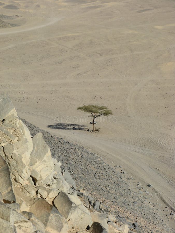 Arabian Sand, Egypt, Africa Stock Image - Image of crossing, ripples ...