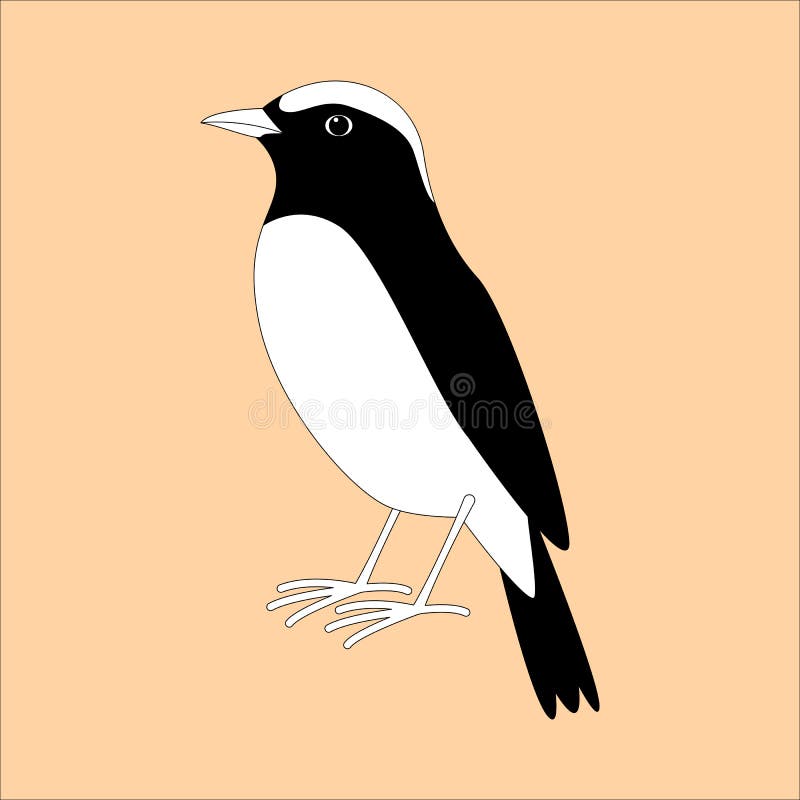 Northern Wheatear Over Sign To Celebrate World Migratory Bird Day ...