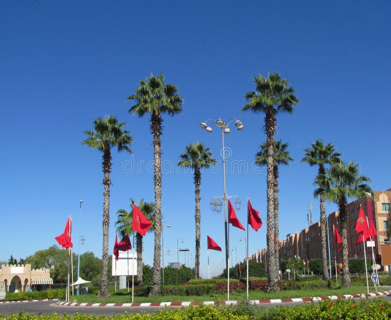 Arabic City Square with Palms Stock Photo - Image of group, life: 76859558