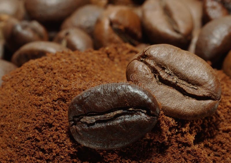 Arabic coffee beans stock image. Image of beverages, macro - 12868107