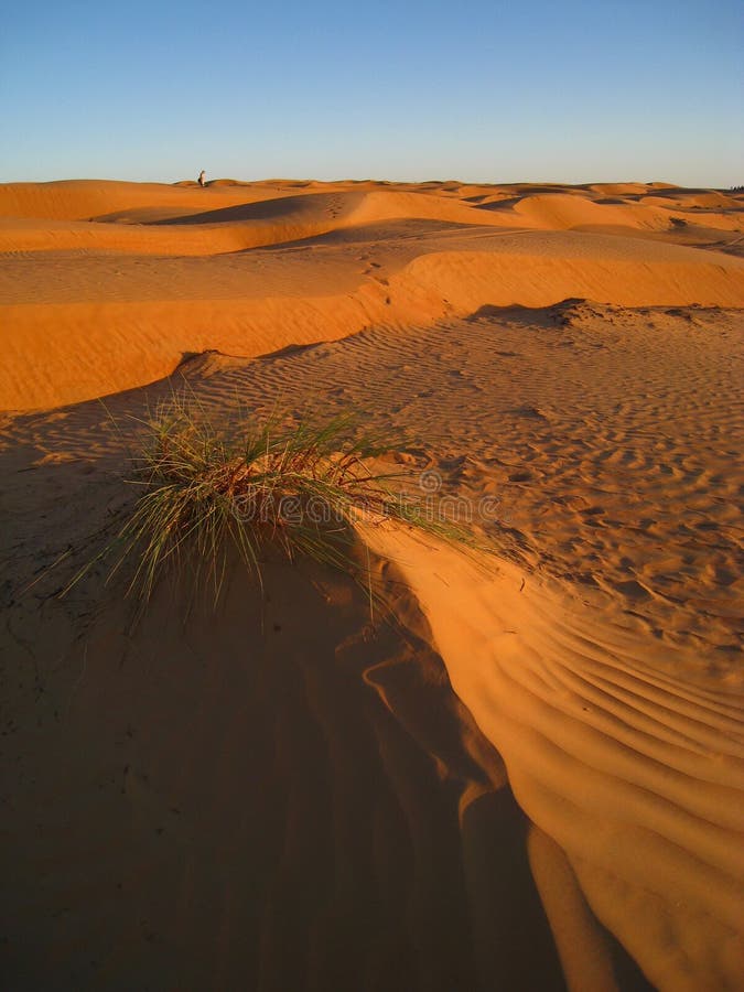 The Arabic Desert stock photo. Image of arabic, oman - 18469282