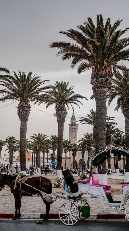 Arabic Market with Palm Trees Stock Image - Image of horse, market ...