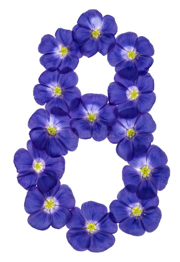 Arabic Numeral 8, Eight, from Blue Flowers of Flax, Isolated on Stock ...