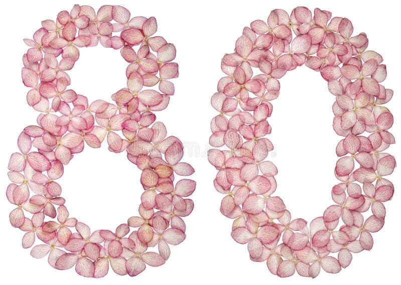 Number 80 Floral Stock Illustrations – 68 Number 80 Floral Stock ...