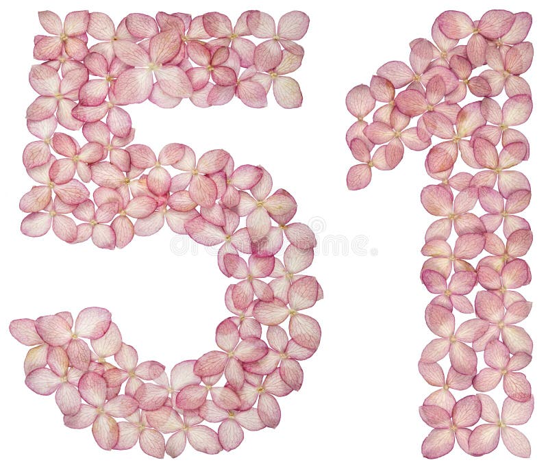 163 51 Anniversary Stock Photos - Free & Royalty-Free Stock Photos from ...