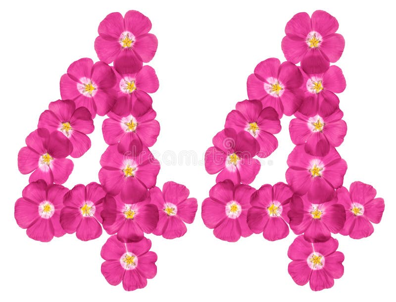 Arabic Numeral 44, Forty Four, from Pink Flowers of Flax, Isolated on ... Arabic Numeral 44, Forty Four, from Pink Flowers of Flax, Isolated on ...