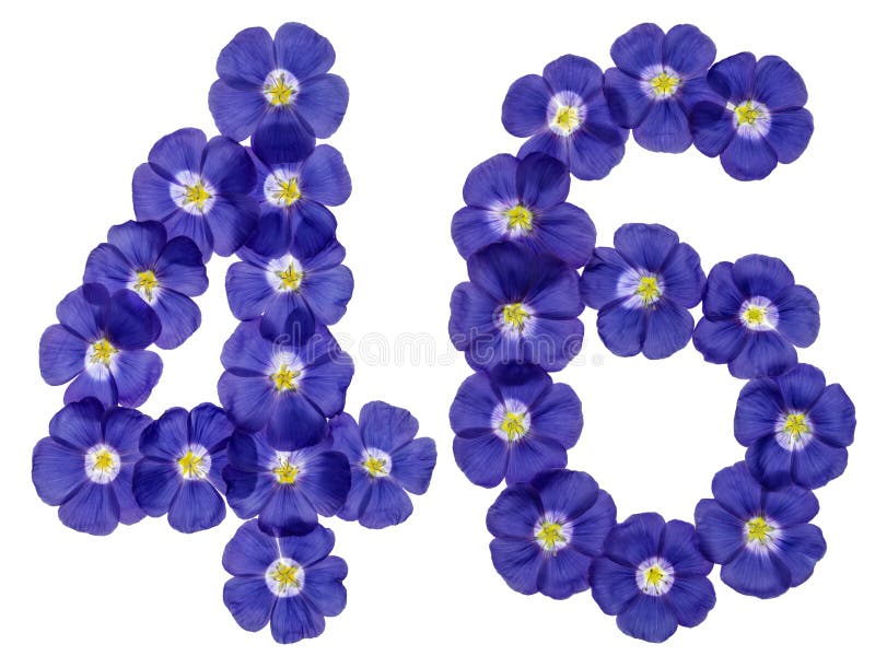 Arabic Numeral 46, Forty Six, from Blue Flowers of Flax, Isolate Stock ...