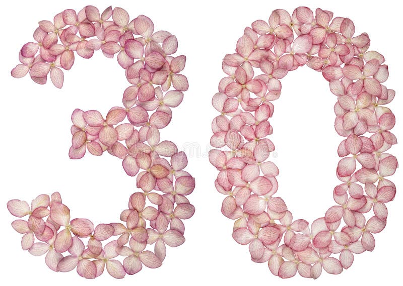 170 Number 30 Flowers Stock Photos - Free & Royalty-Free Stock Photos ...