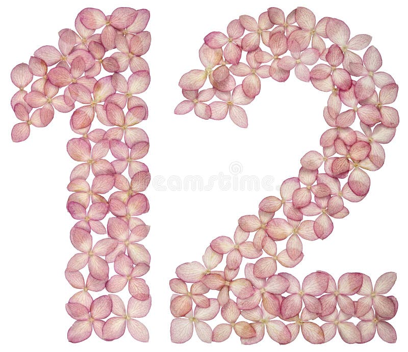 Arabic Numeral 12 Flowers Stock Photos - Free & Royalty-Free Stock ...