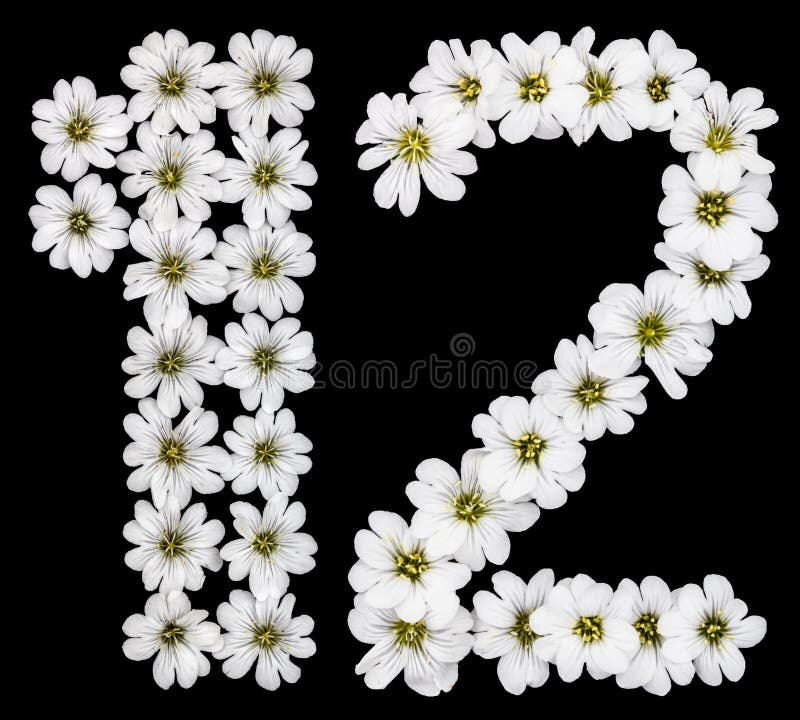 Numeral 12, Twelve, Isolated On White Background, 3d Render Stock ... Numeral 12, Twelve, Isolated On White Background, 3d Render Stock ...