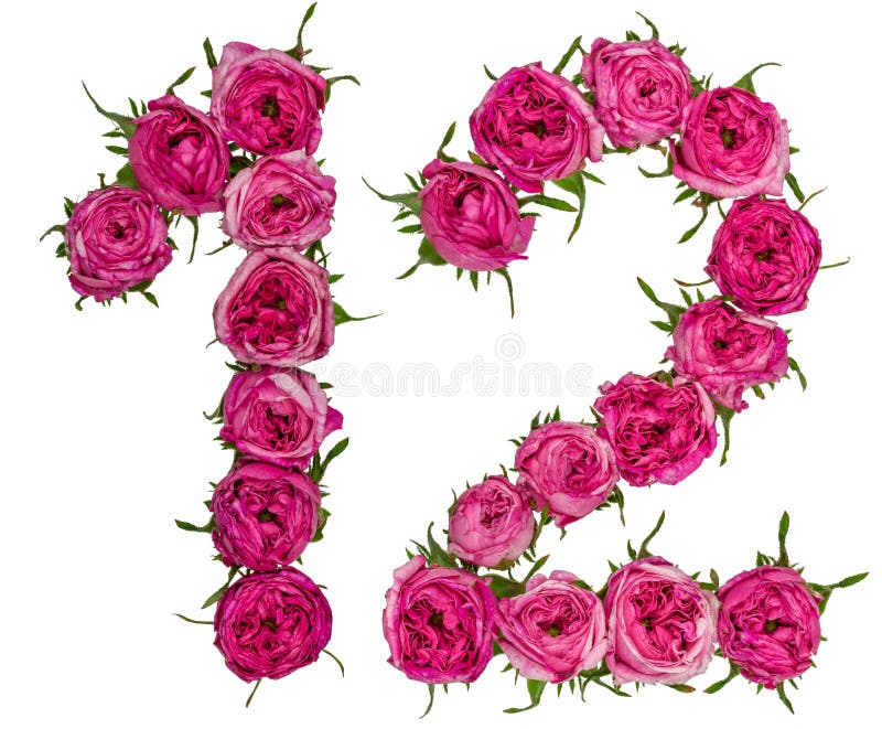 Arabic Numeral 12, Twelve, from Red Flowers of Rose, Isolated on Stock ...