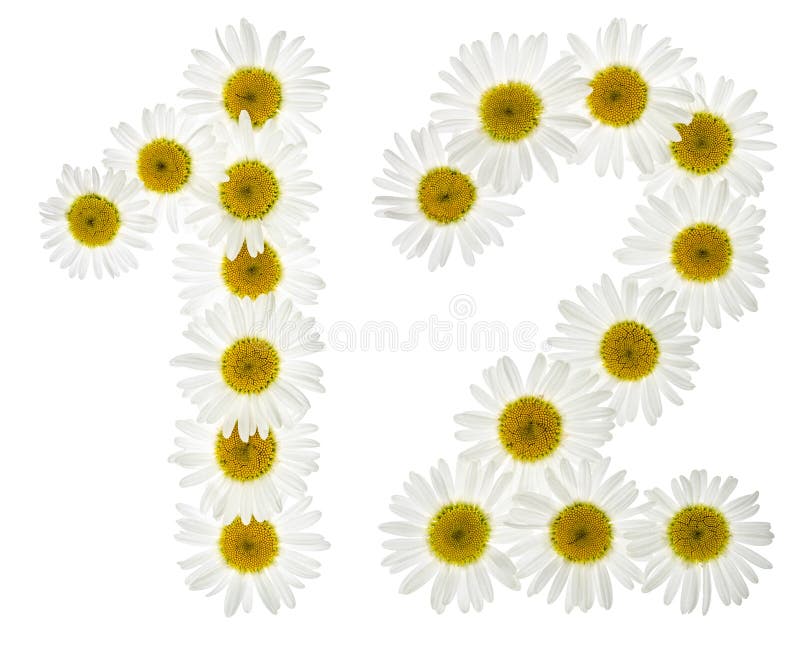Arabic Numeral 12 Flowers Stock Photos - Free & Royalty-Free Stock ...