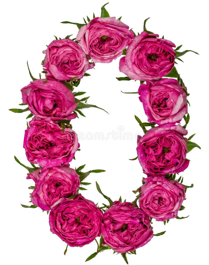 1,299 Zero Rose Stock Photos - Free & Royalty-Free Stock Photos from ...