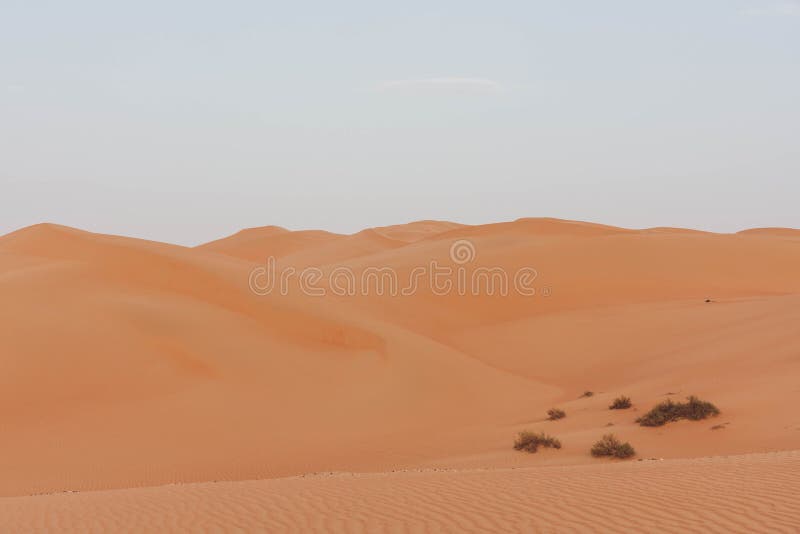 Arabic sand desert stock photo. Image of dead, ripple - 155499952