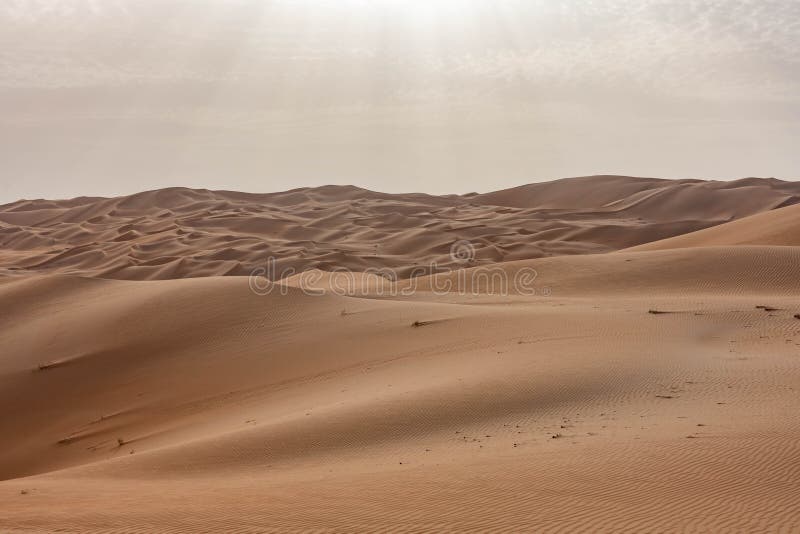 Arabic sand desert stock photo. Image of dubai, africa - 158469182