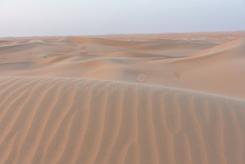 Arabic sand desert stock image. Image of desert, nature - 158470517