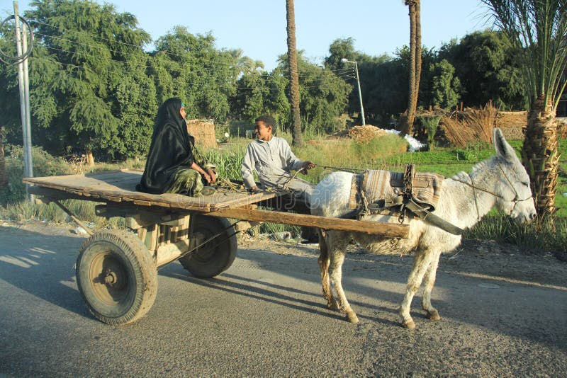 Arabic Women with Sun and Donkey Editorial Photo - Image of family ...
