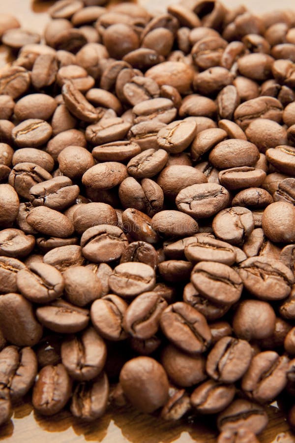 Arabica Beans stock photo. Image of fresh, caffeine, roasted - 33268880