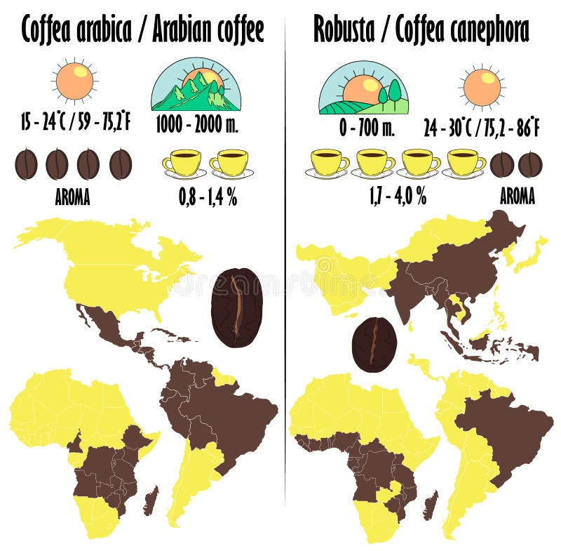 Coffee Growing Map Stock Illustrations – 35 Coffee Growing Map Stock ...