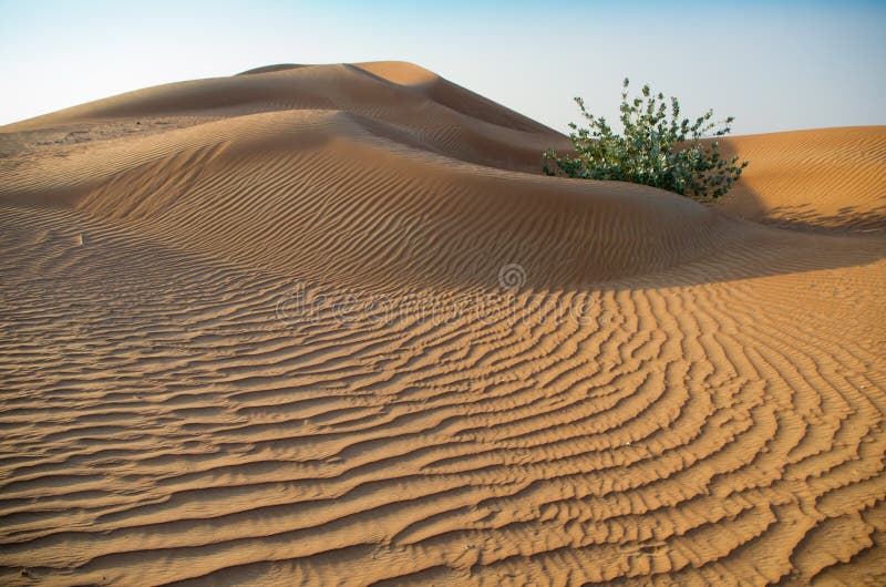 Arabische woestijn stock afbeelding. Image of gouden - 29164291