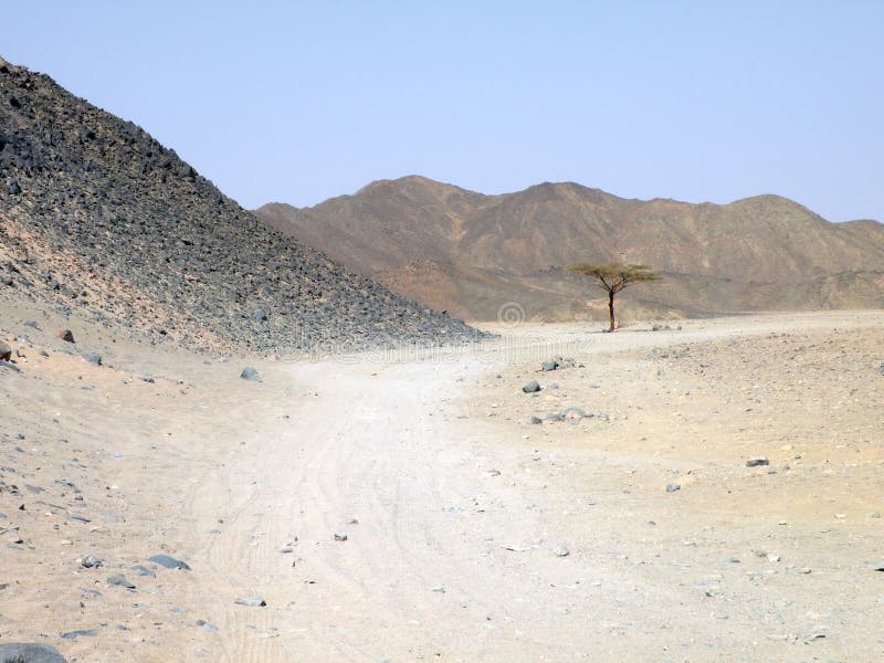 Arabische woestijn stock foto. Image of één, hemel, kleur - 37207956