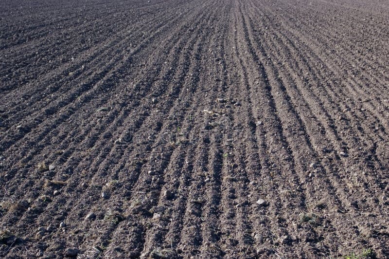 Arable. stock image. Image of dirt, agrar, flat, arable - 15367635