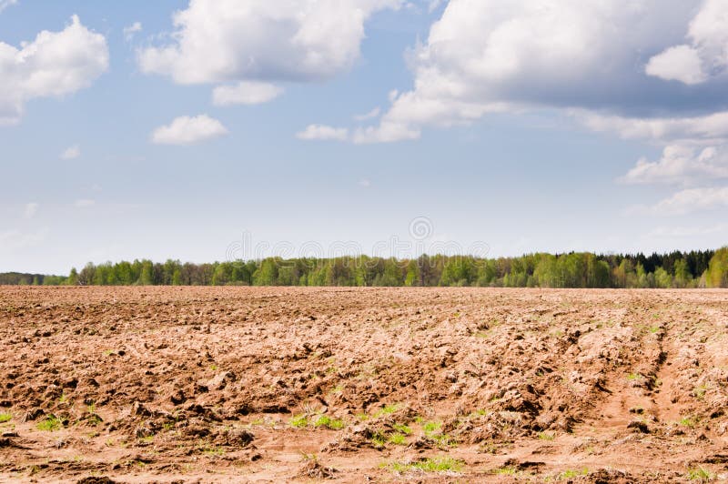 Arable photo stock. Image du durée, milieux, nuages, agronomie - 19668650