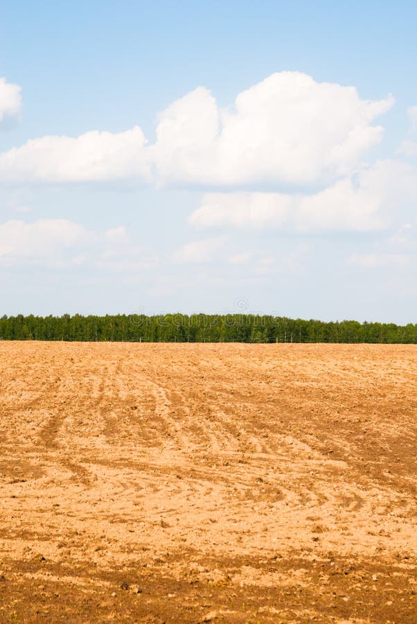 Arable stock image. Image of crop, cloud, landscape, horizon - 19668665