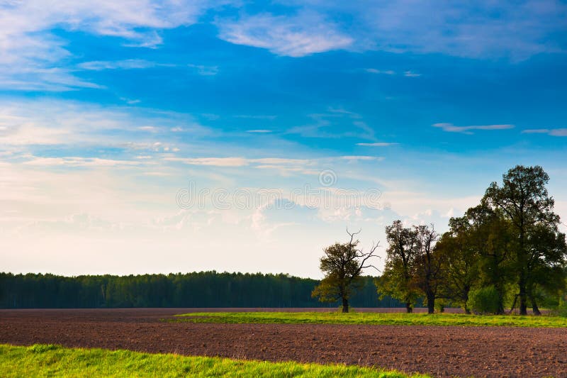 Arable stock photo. Image of cloud, field, cultivated - 24757882