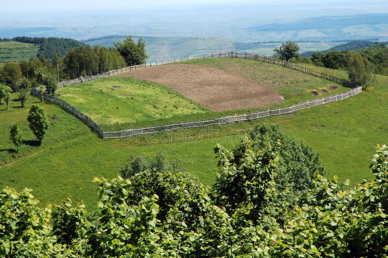 Arable Agriculture Concept, Aerial Top View Rural. Farmer on Tractor ...