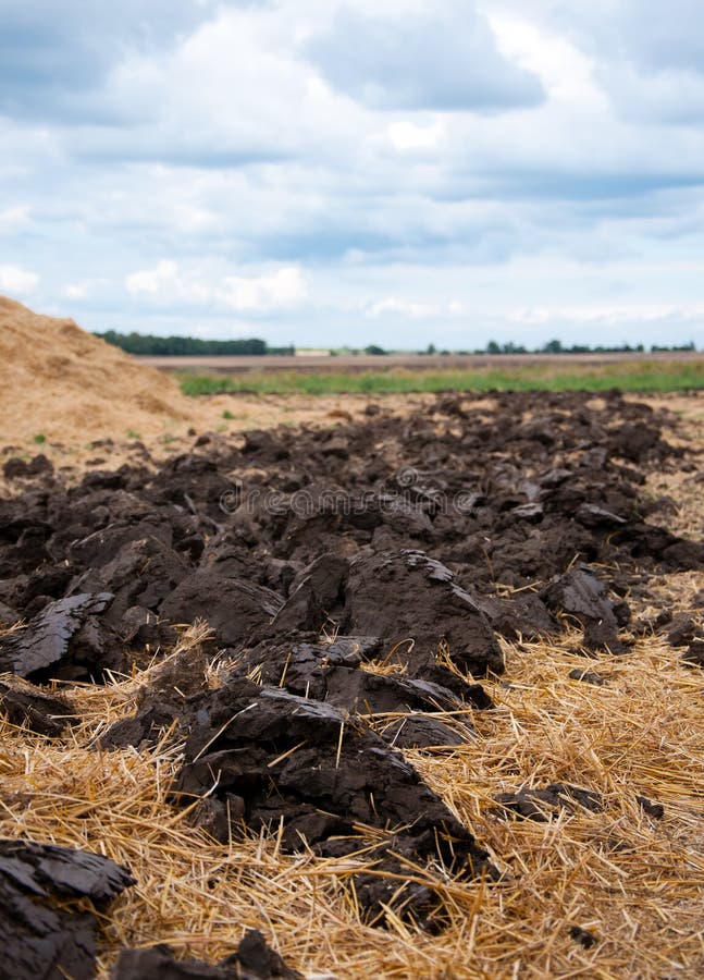 Arable earth stock photo. Image of clear, planting, landscaped - 16907328