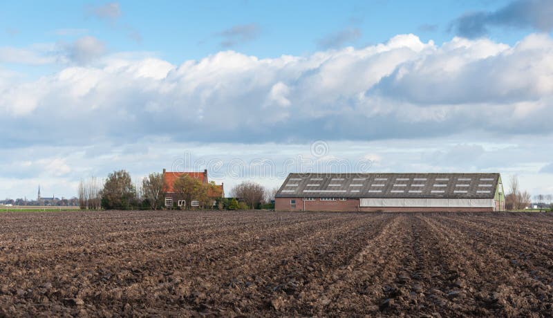 Arable Farm in the Netherlands Stock Photo - Image of cultivated, land ...