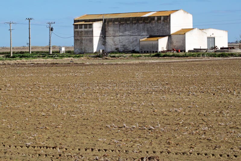 Arable Farm Fields with Trees on Edge of Large River Stock Image ...