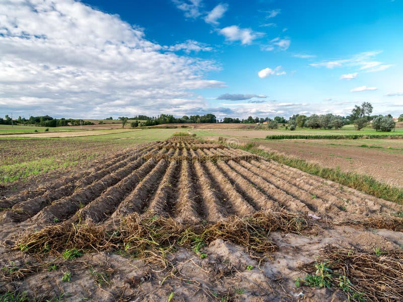 Arable field stock image. Image of autumn, landscape - 60053511