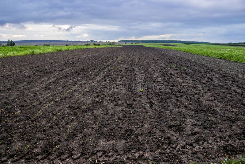 Arable field farm stock photo. Image of nature, country - 93367496