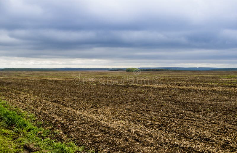 Arable field farm stock image. Image of field, rural - 93367611