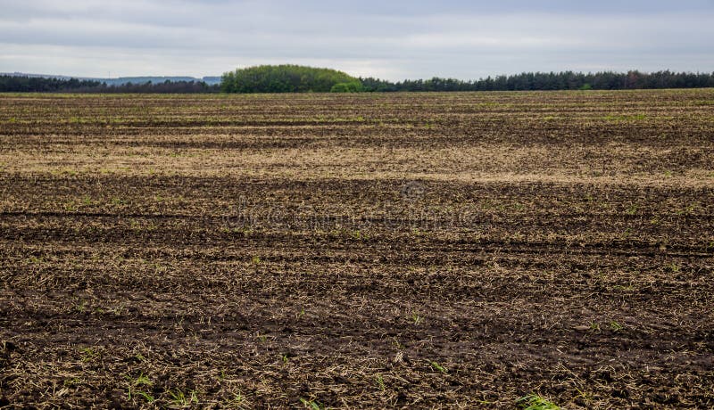 Arable field farm stock image. Image of nature, growth - 93367613