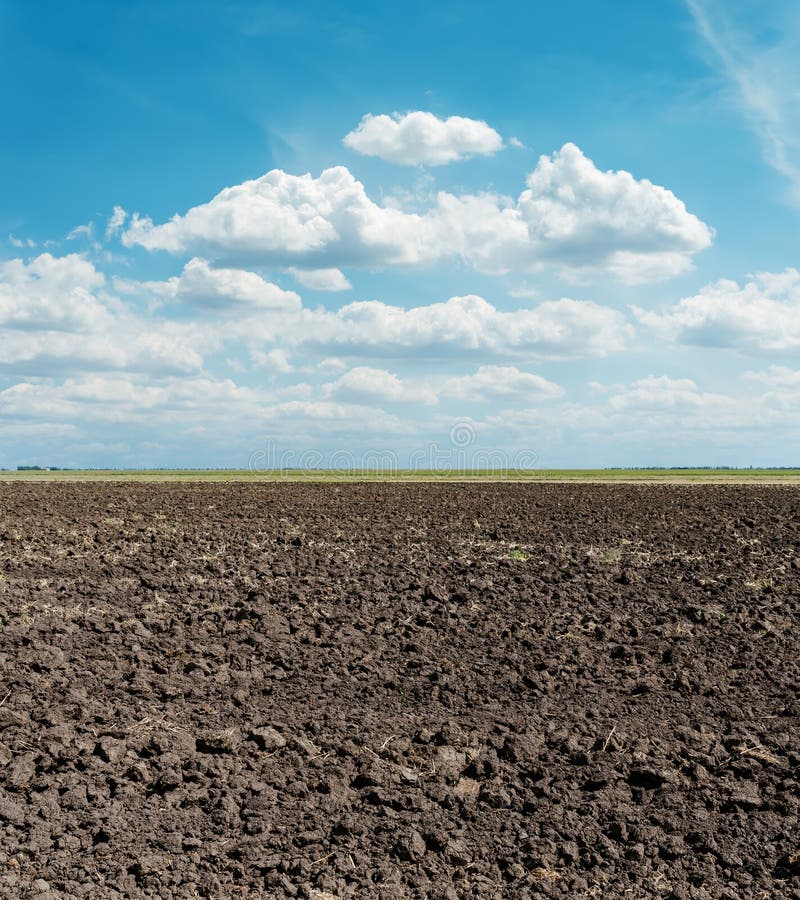 Arable Field after Harvesting and Blue Sky Stock Photo - Image of ...
