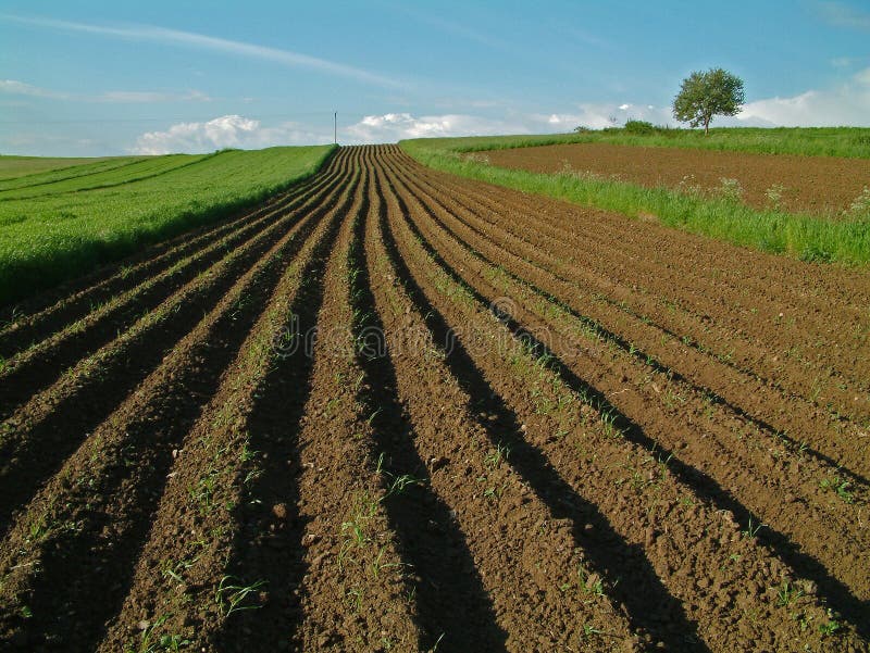Arable land stock image. Image of ploughland, croft, mountain - 4408121
