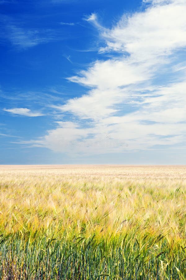 Arable Field Beneath a Shower Stock Photo - Image of autumnal, field ...