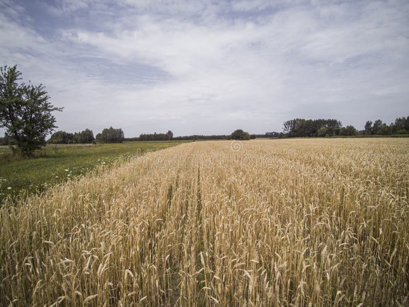 Arable Fields Seen from Above, Agriculture Stock Photo - Image of grain ...