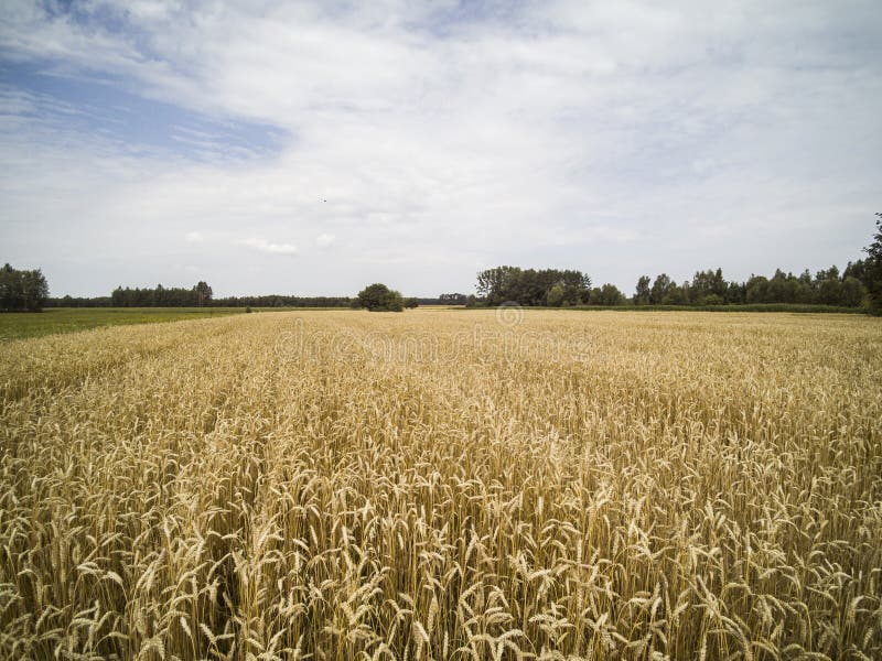 Arable Fields Seen from Above, Agriculture Stock Photo - Image of grain ...