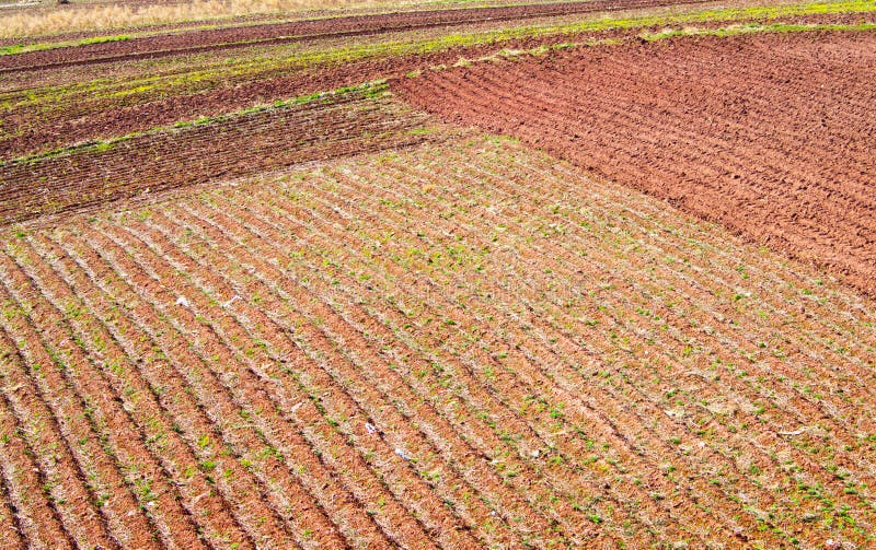 Arable land stock image. Image of united, soil, landscapes - 25490543