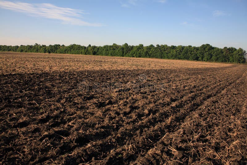 Arable land stock image. Image of farm, agrarian, arable - 6750529