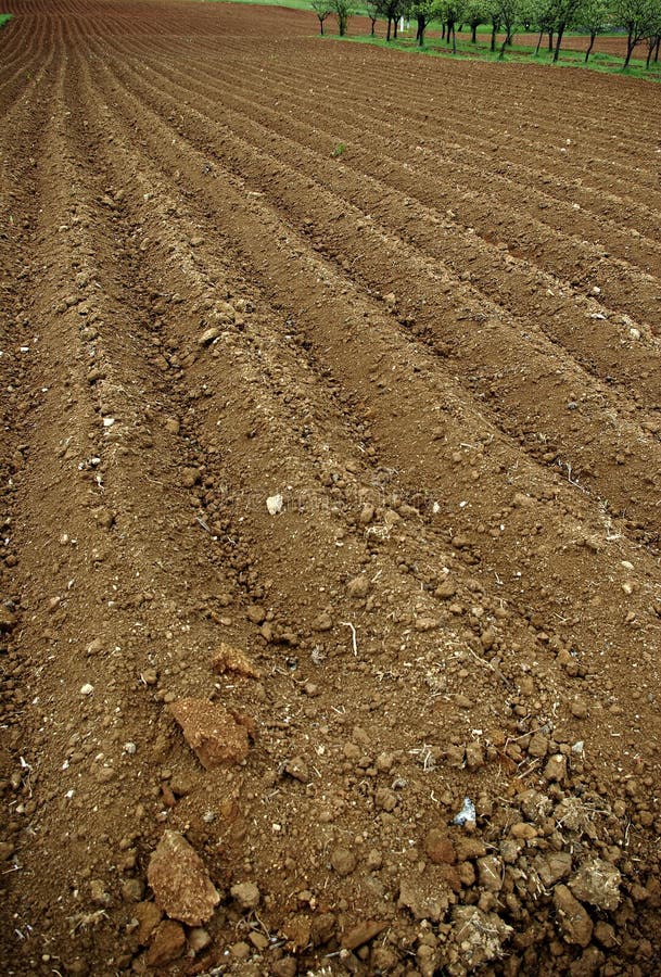 Arable Land stock photo. Image of perspective, natural - 33195238