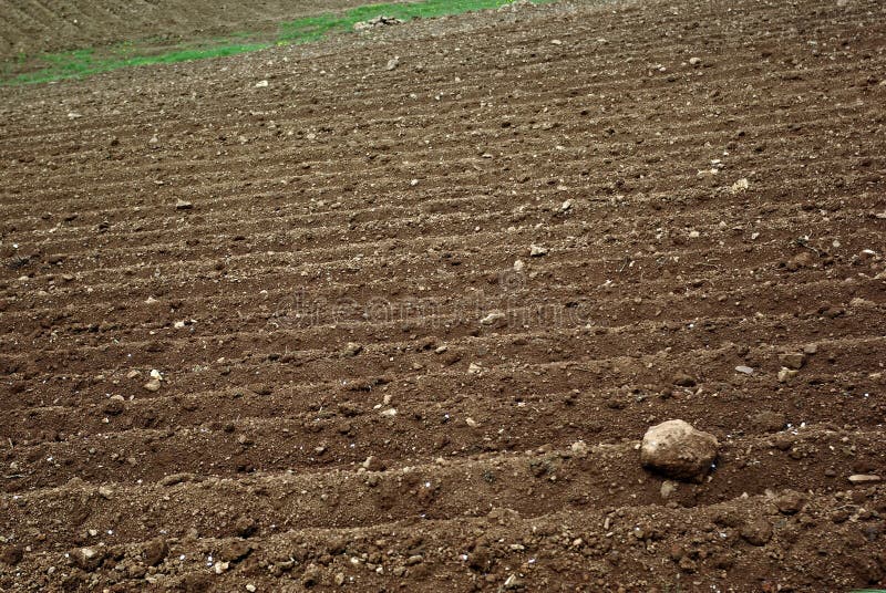 Unworked Land, Field. Dirt Texture. Country Dirt Field Texture. Stock ...